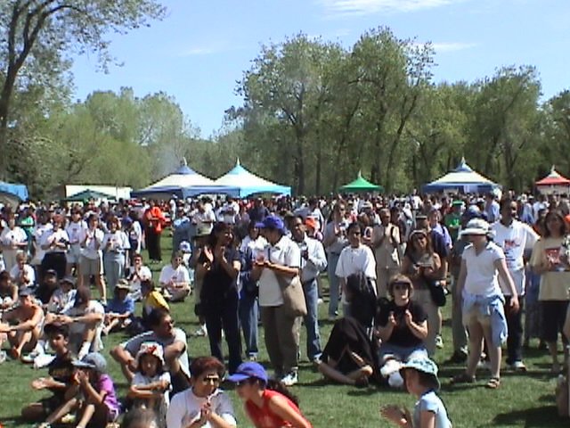 World Partnership Walk Calgary Greeting Cards