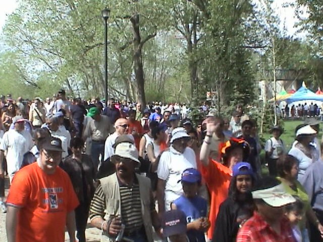 Calgary World Partnership Walk Greeting Cards